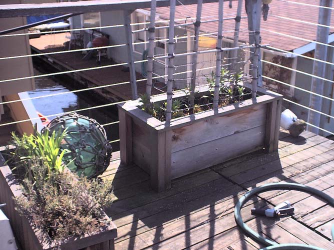 My Planter Box